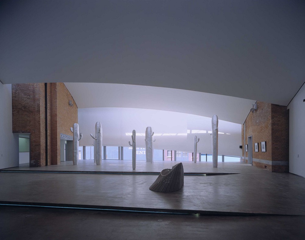 Design Erick van Egeraat | Crawford Municipal Art Gallery Cork ...