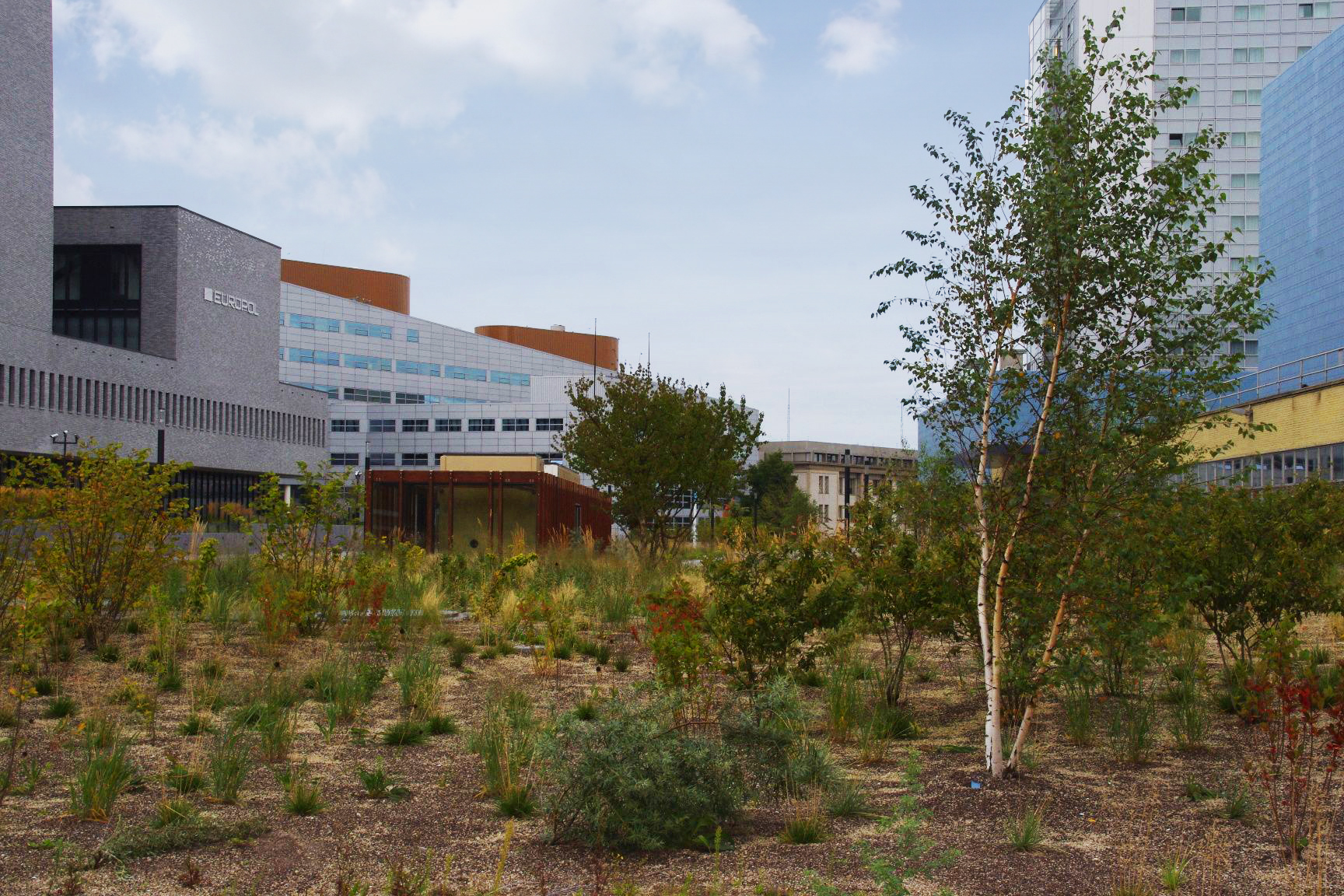 DS verzacht Internationale Zone Den Haag - architectenweb.nl