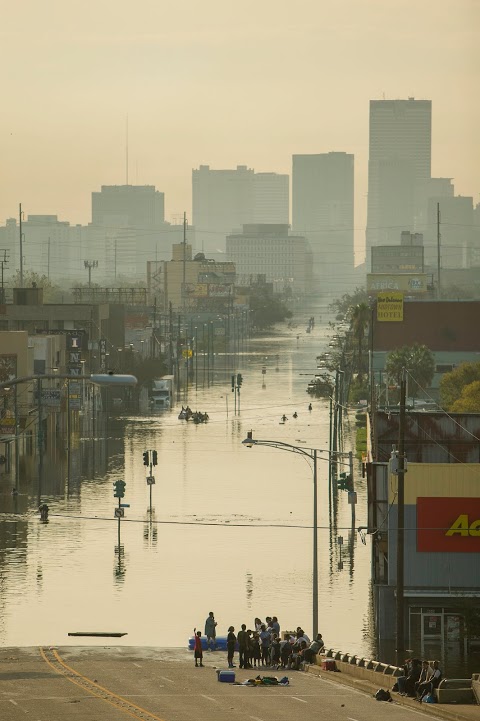 Druk programma tijdens IABR-2014- - architectenweb.nl