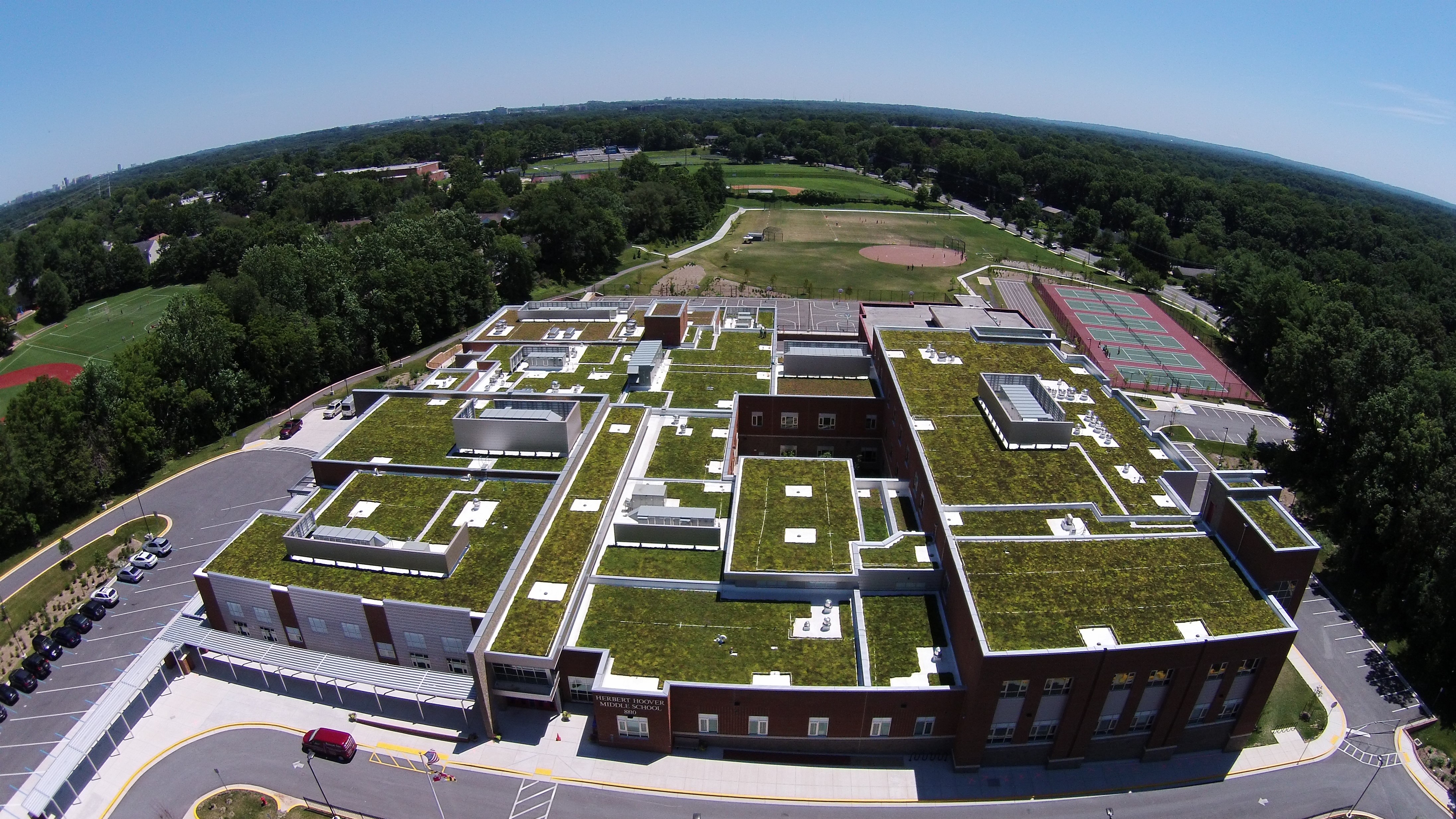 Sempergreen | Sedummixmat voor groendak - architectenweb.nl