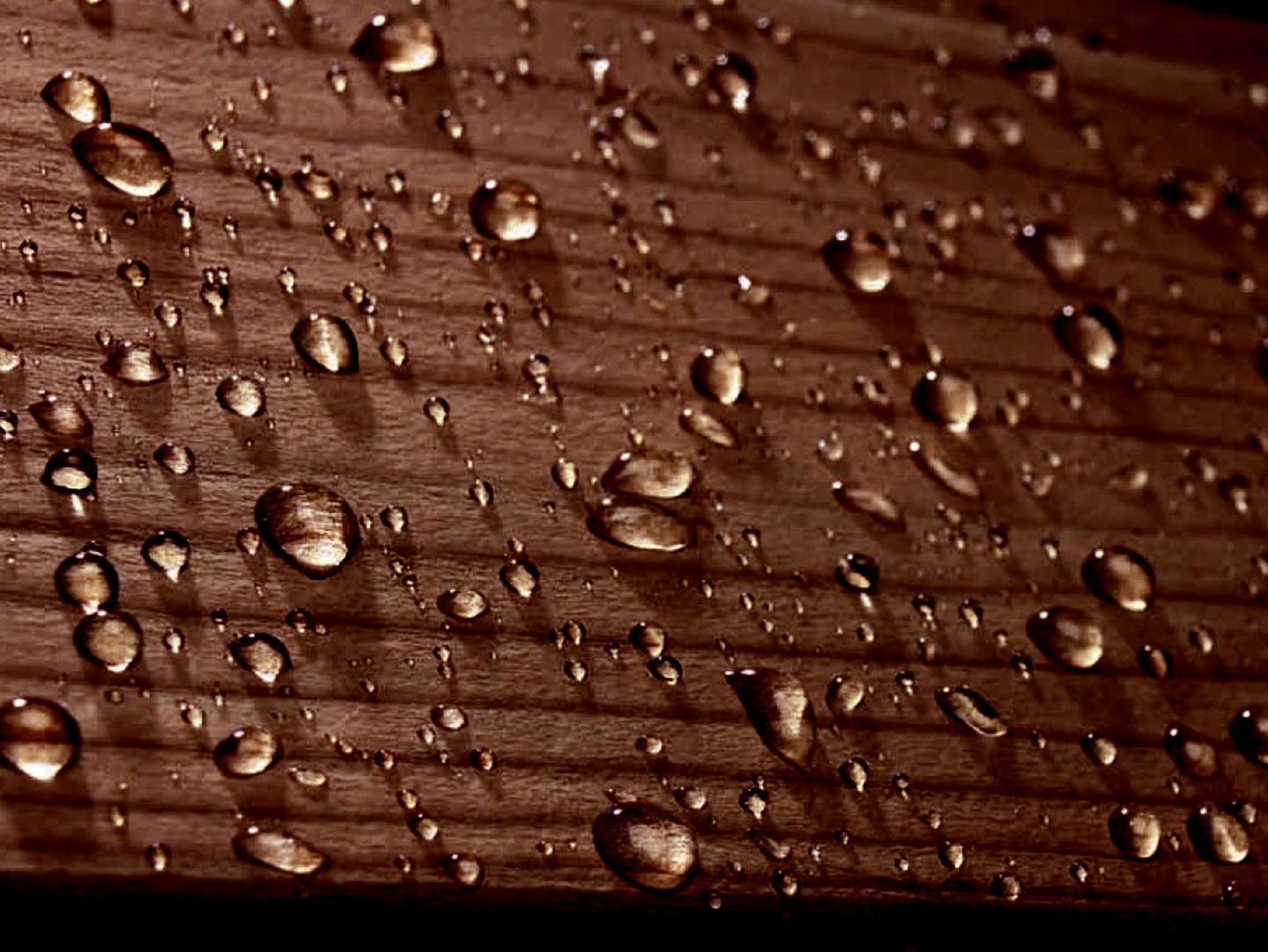 Foreco Houtproducten | Waxedwood Gold - Gevelbekleding met natuurlijke ...