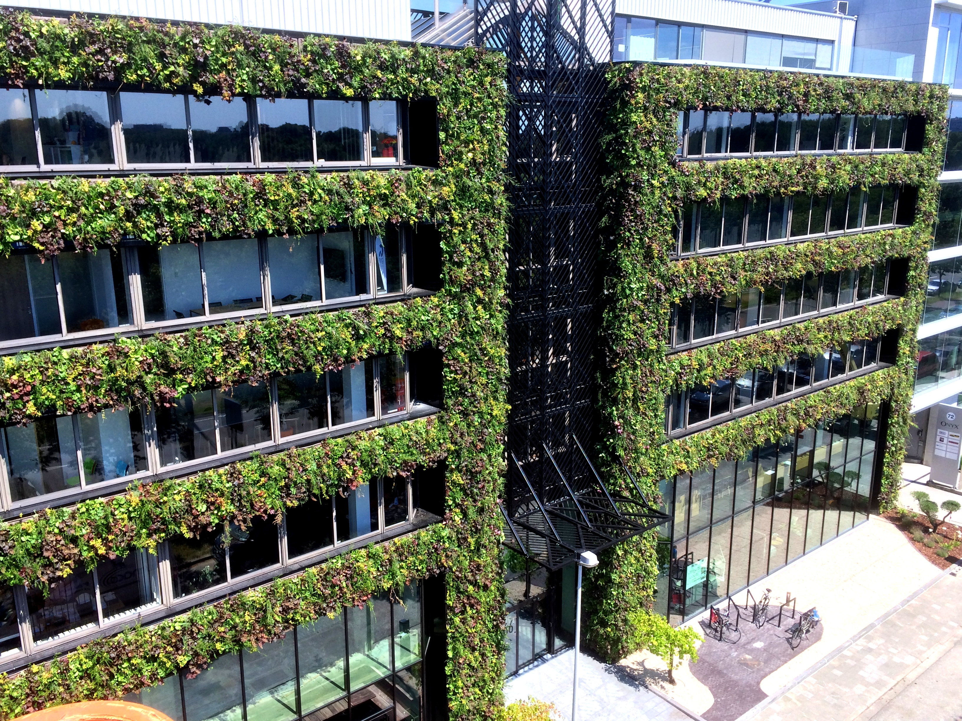 Sempergreen | Renovatie Greenhouse Antwerp - architectenweb.nl