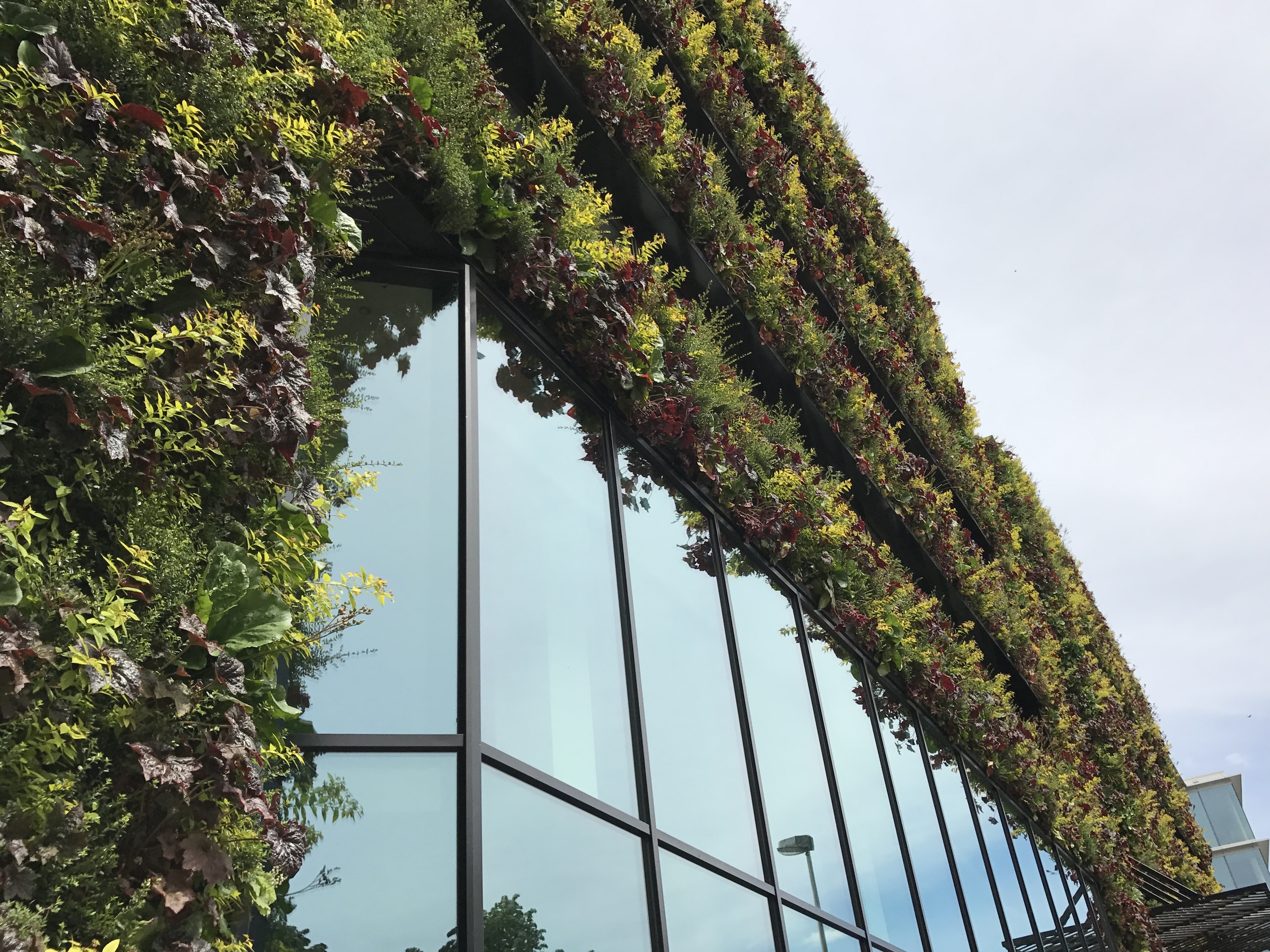 Sempergreen | Renovatie Greenhouse Antwerp - architectenweb.nl