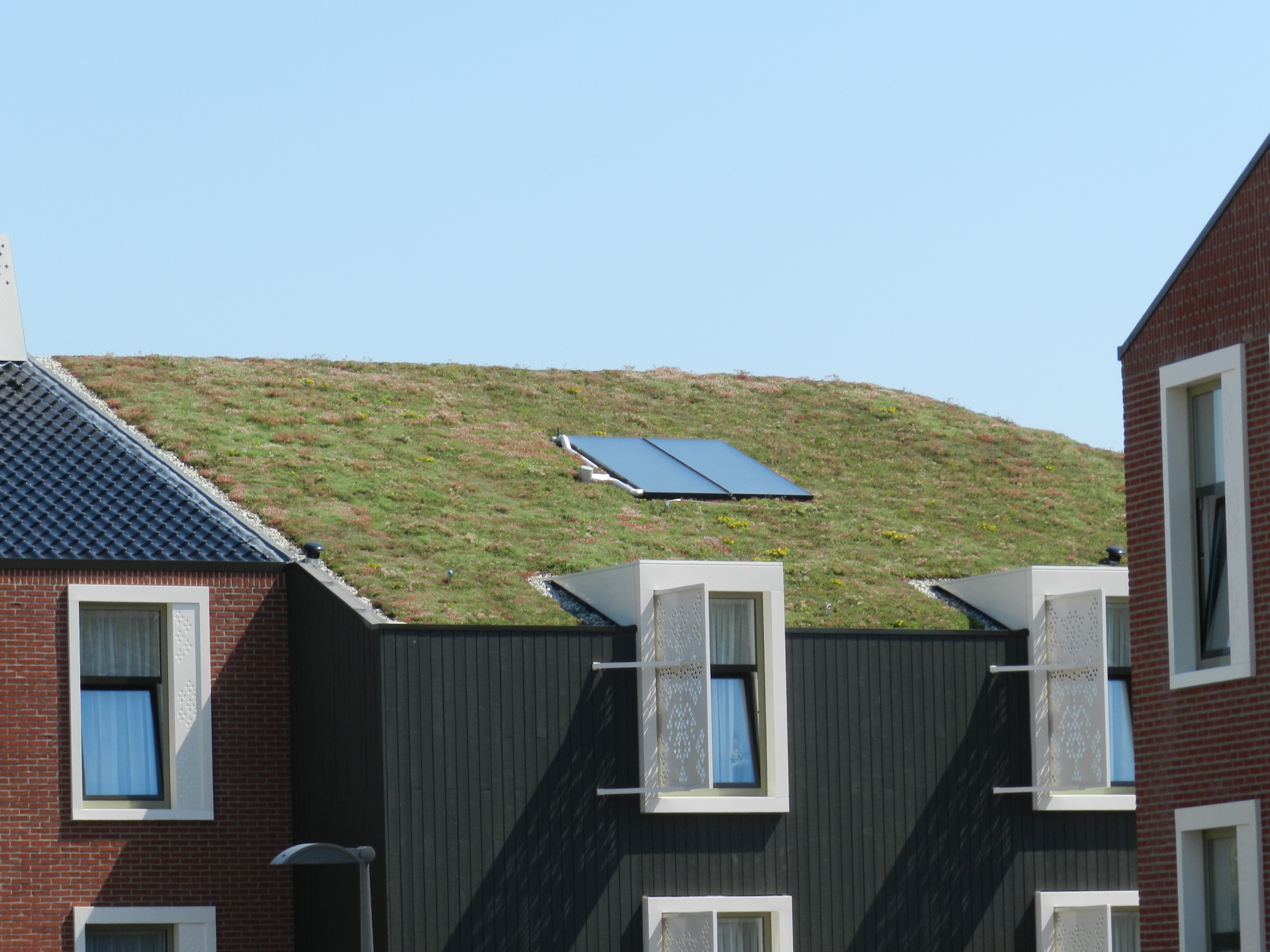 Sempergreen | Sedummixmat Type T - hellende daken - architectenweb.nl