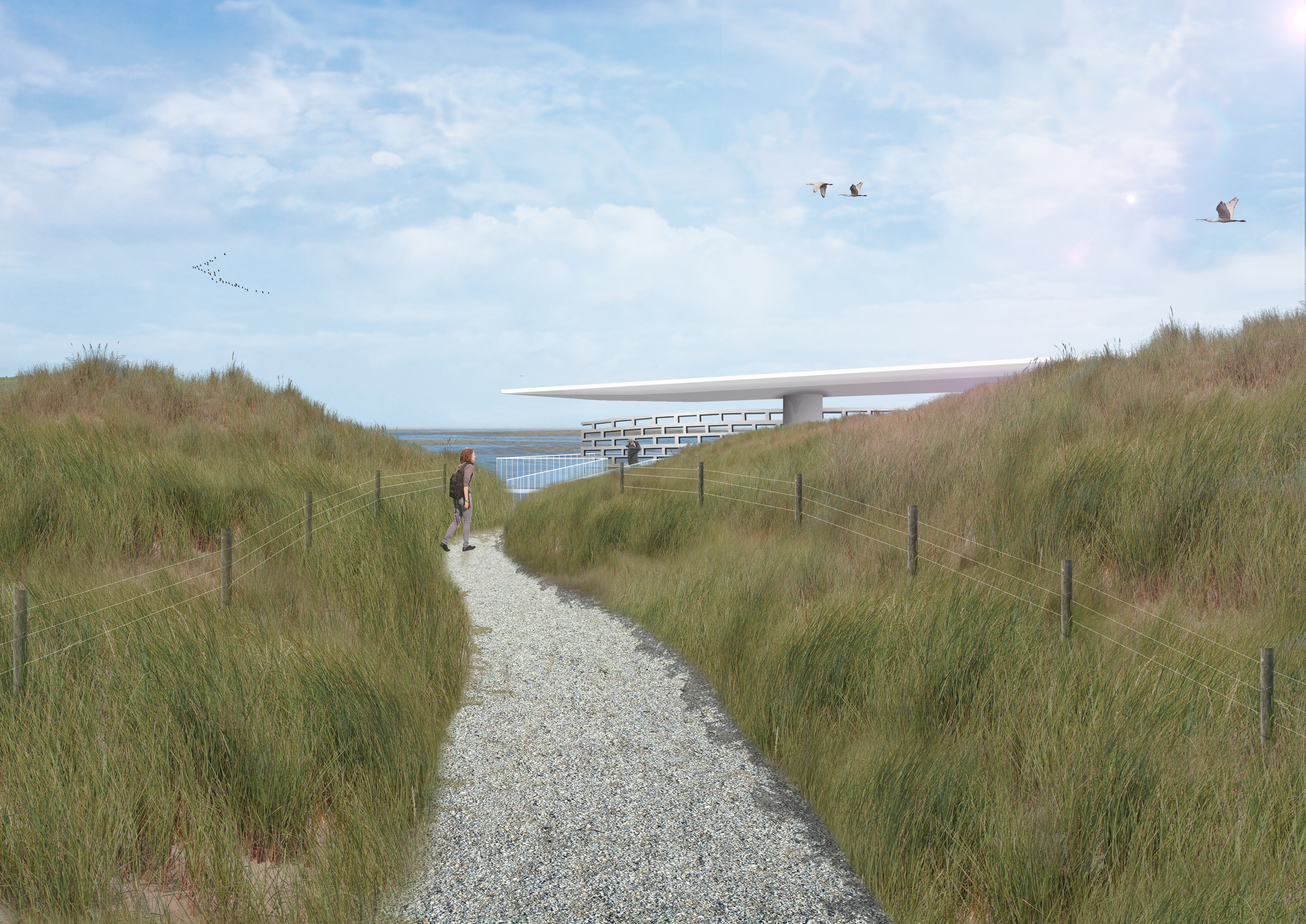 Nieuw duinlandschap ter versterking van Texelse zeedijk - architectenweb.nl