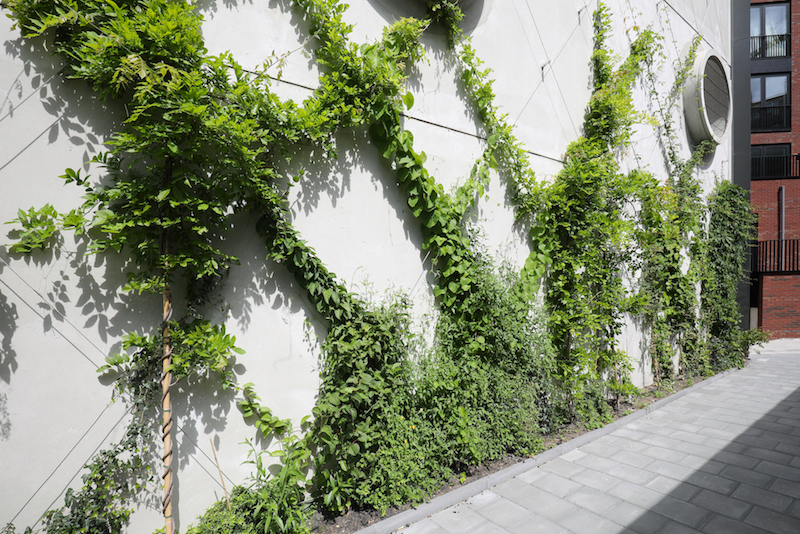 Carl Stahl Architectuur | Groene gevels met spankabels en netten ...