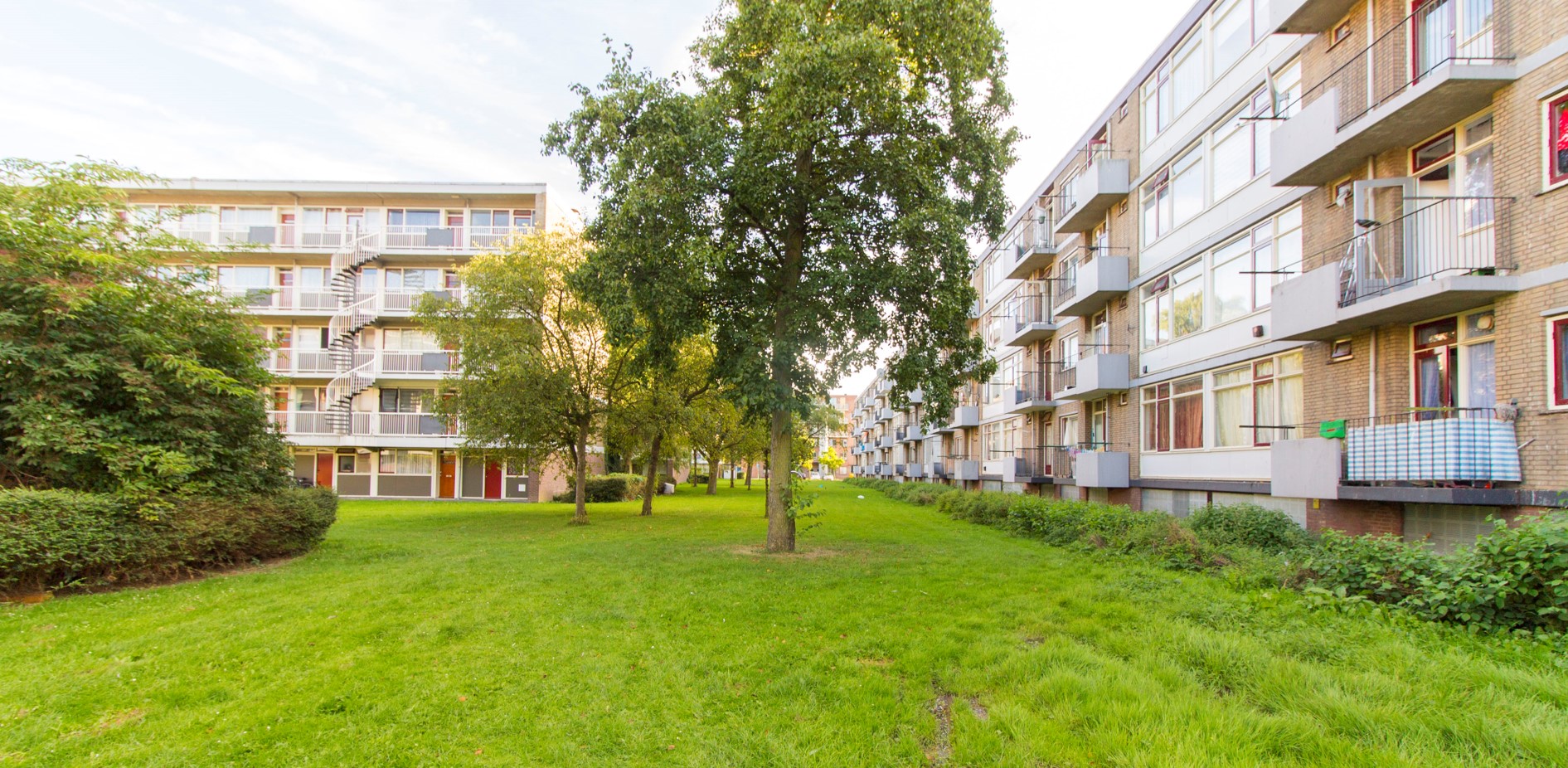 Parkweg Midden Schiedam wordt gevarieerder en klimaatbestendig - architectenweb.nl