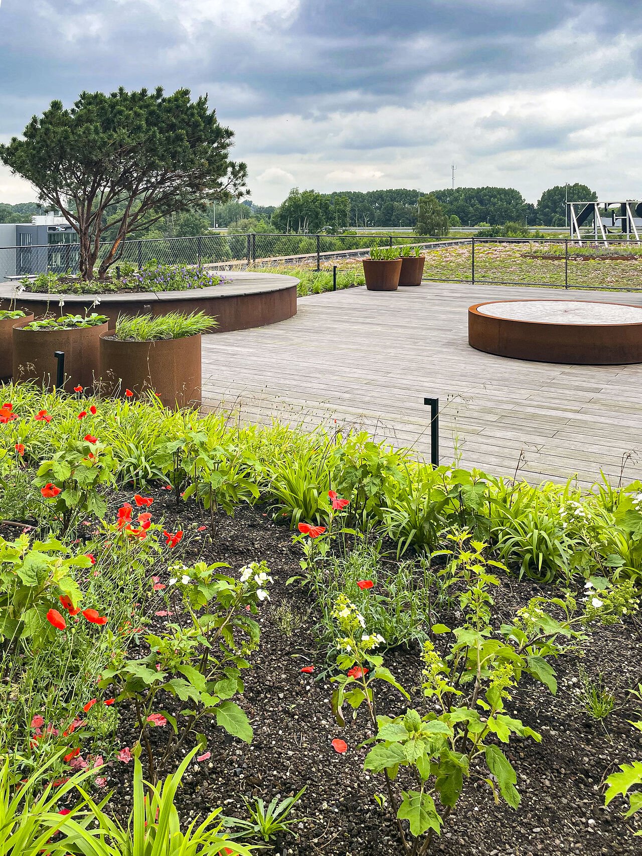 Optigrün Benelux | Van der Valk hotel Deventer - architectenweb.nl