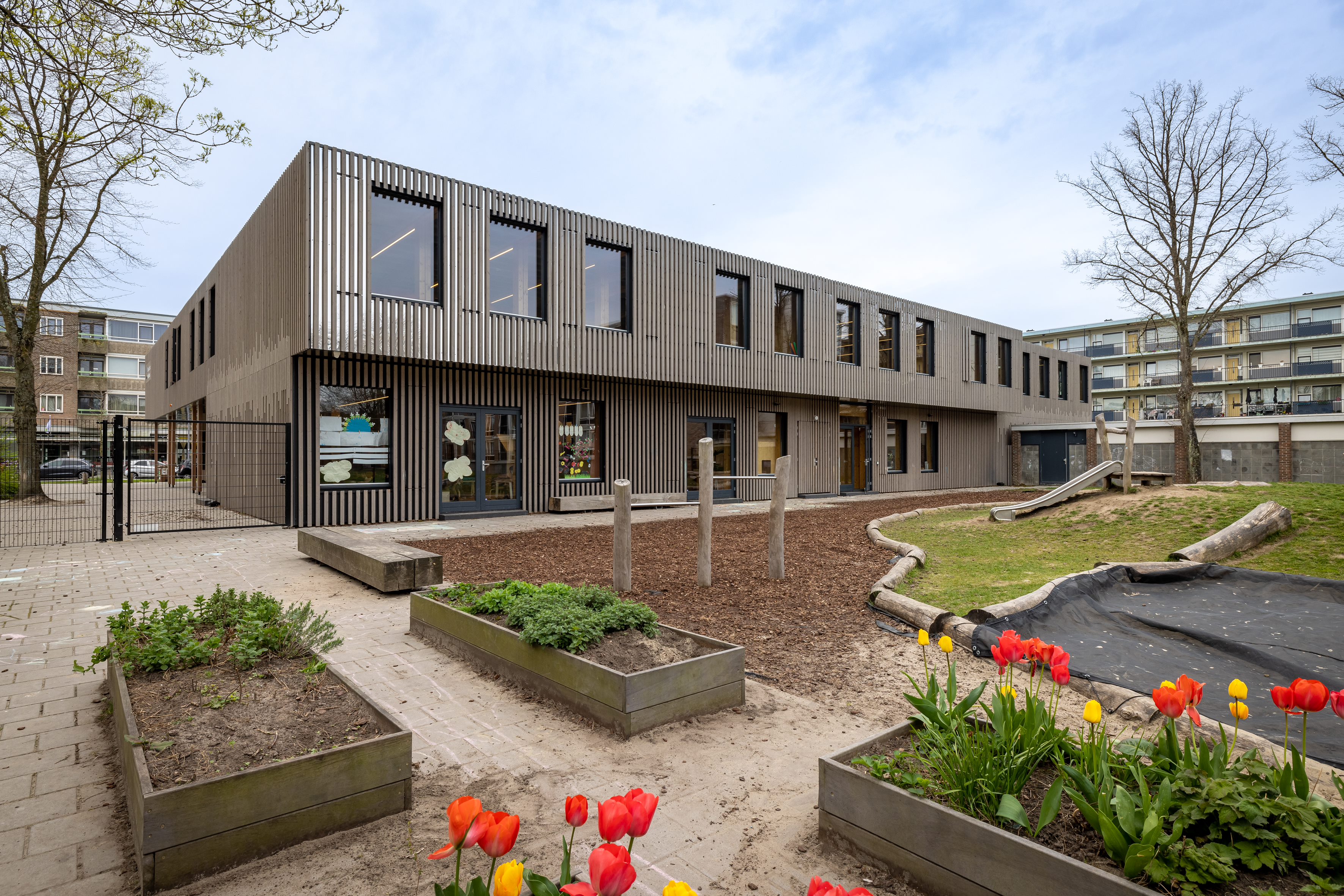 Gras Wood Wide | Basisschool het Epos - architectenweb.nl