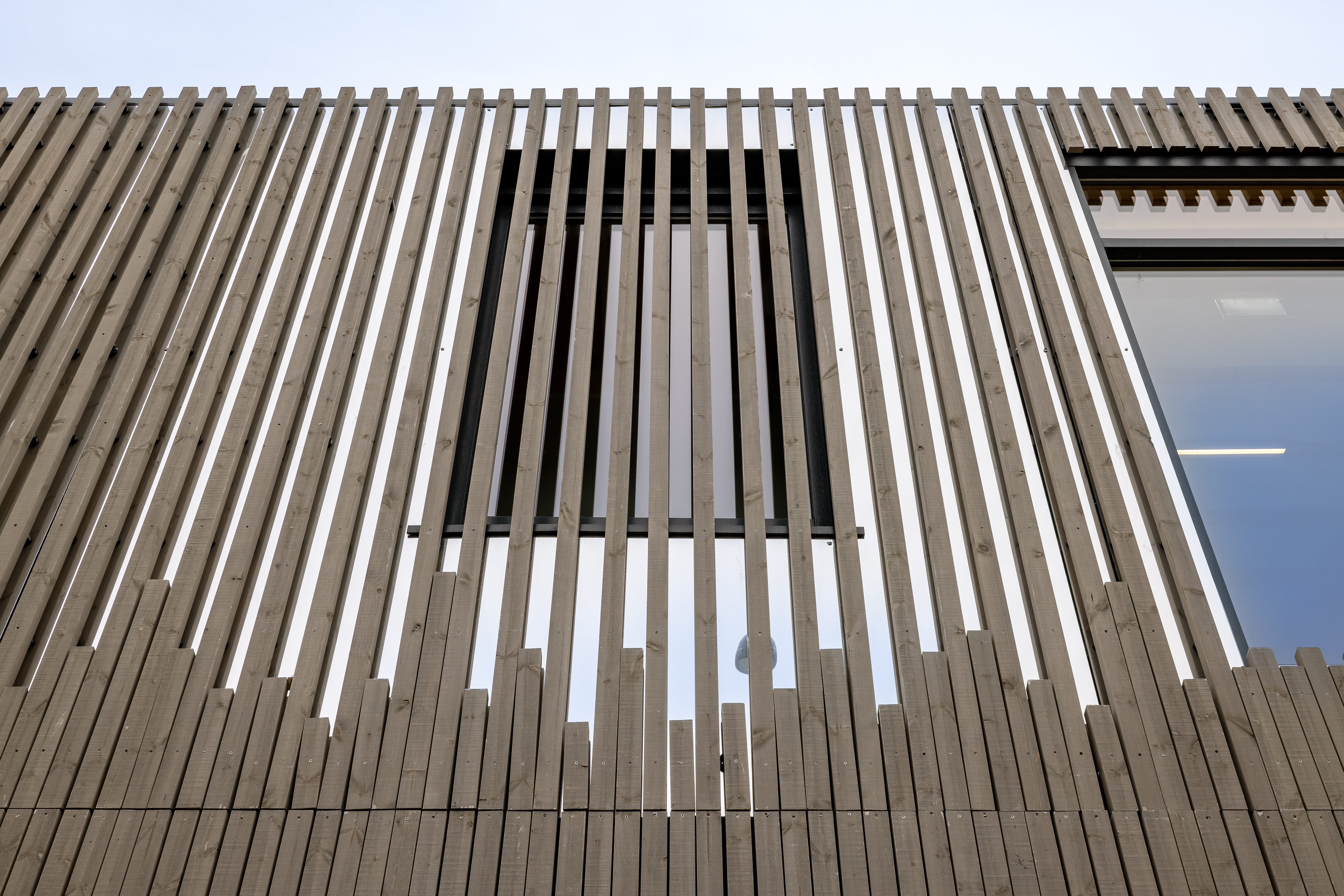 Gras Wood Wide | Basisschool het Epos - architectenweb.nl