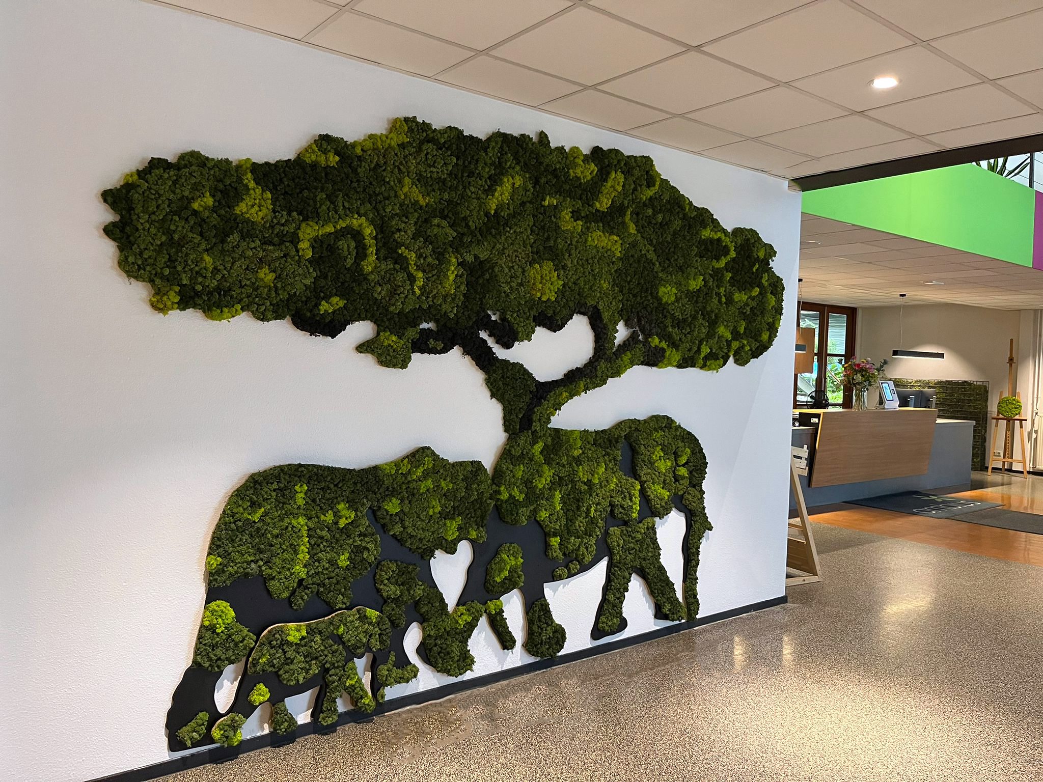 Ambius B.V. | Met MOS een opvallende muurdecoratie. - architectenweb.nl