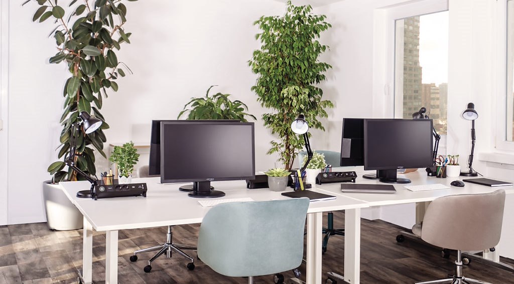 OCS | Office Cabling Systems | Bachmanns Next Generation Office ...