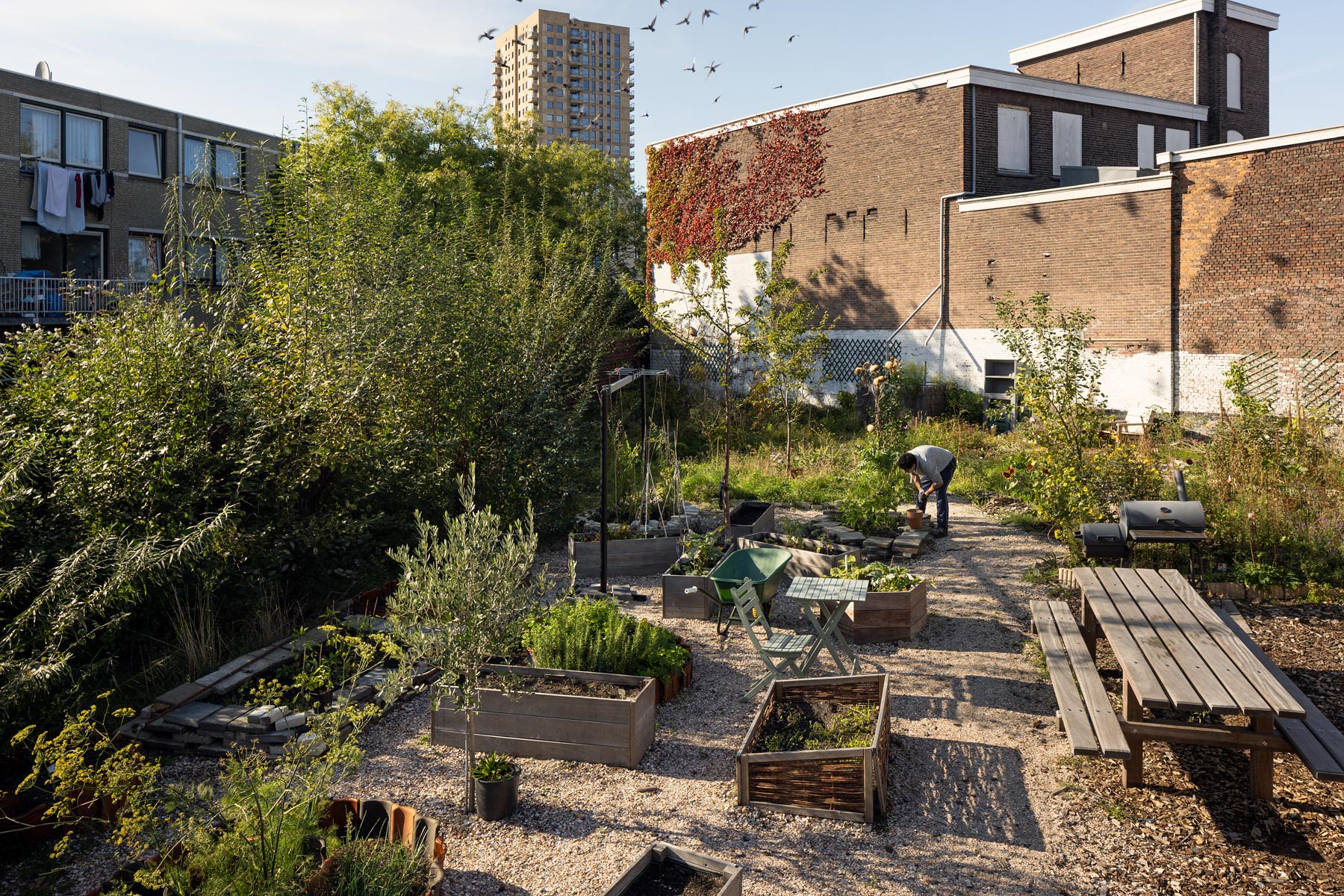Winnaars tweede Haagse Openbare ruimte Prijs bekend - architectenweb.nl
