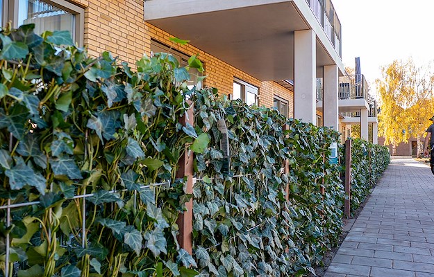 Mobilane | Groene afscheidingen bij sociale huurappartementen ...
