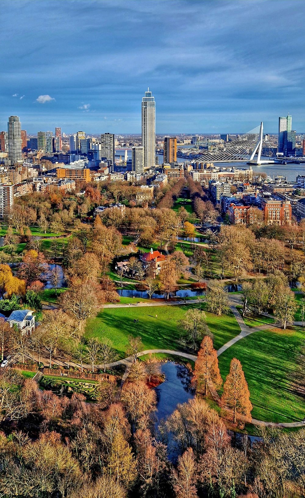 Expositie laat stadsnatuur in Rotterdam zien - architectenweb.nl