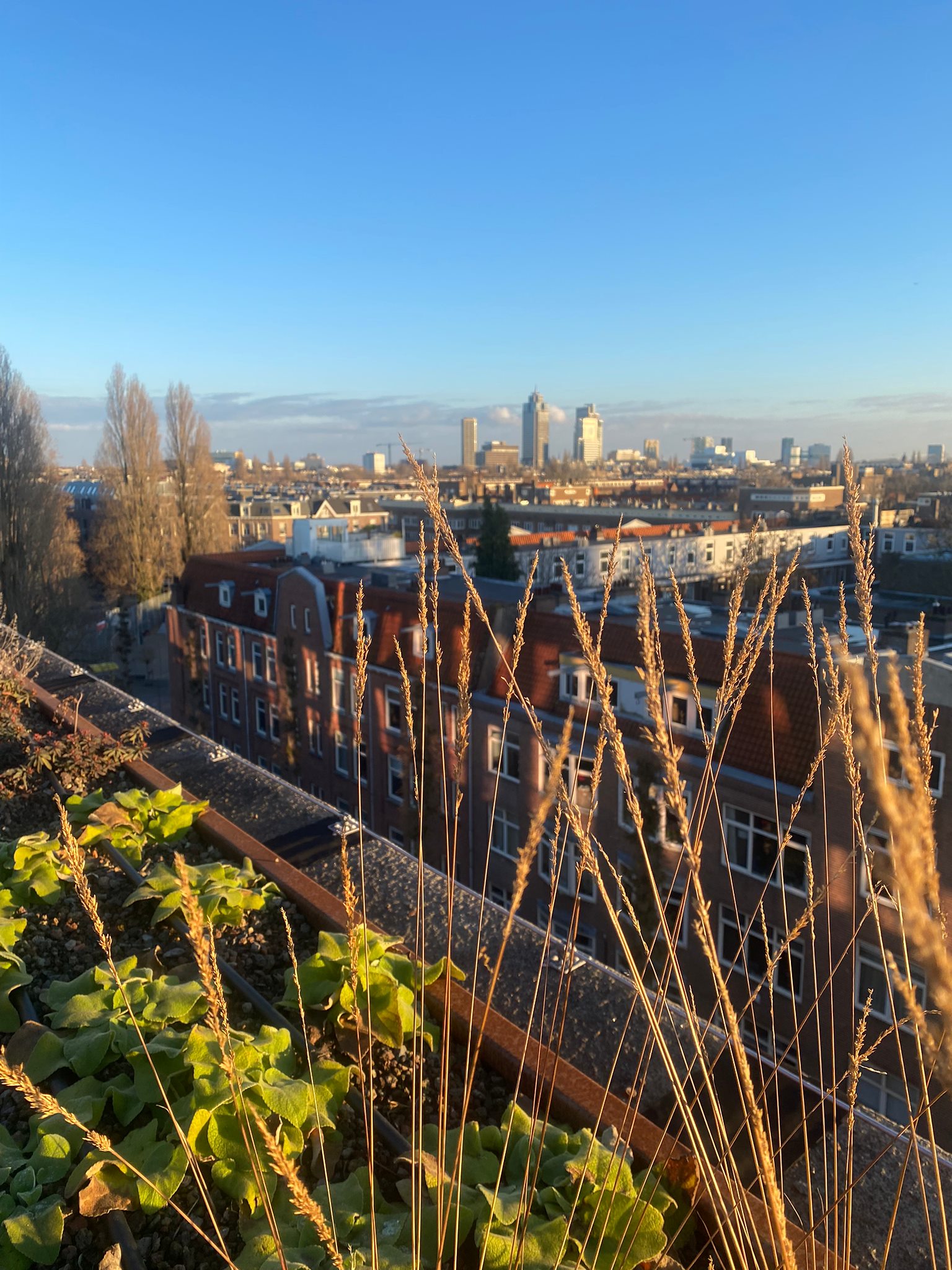 Transformatie en nieuwbouw door ZZDP levert 77 woningen op in De Pijp ...