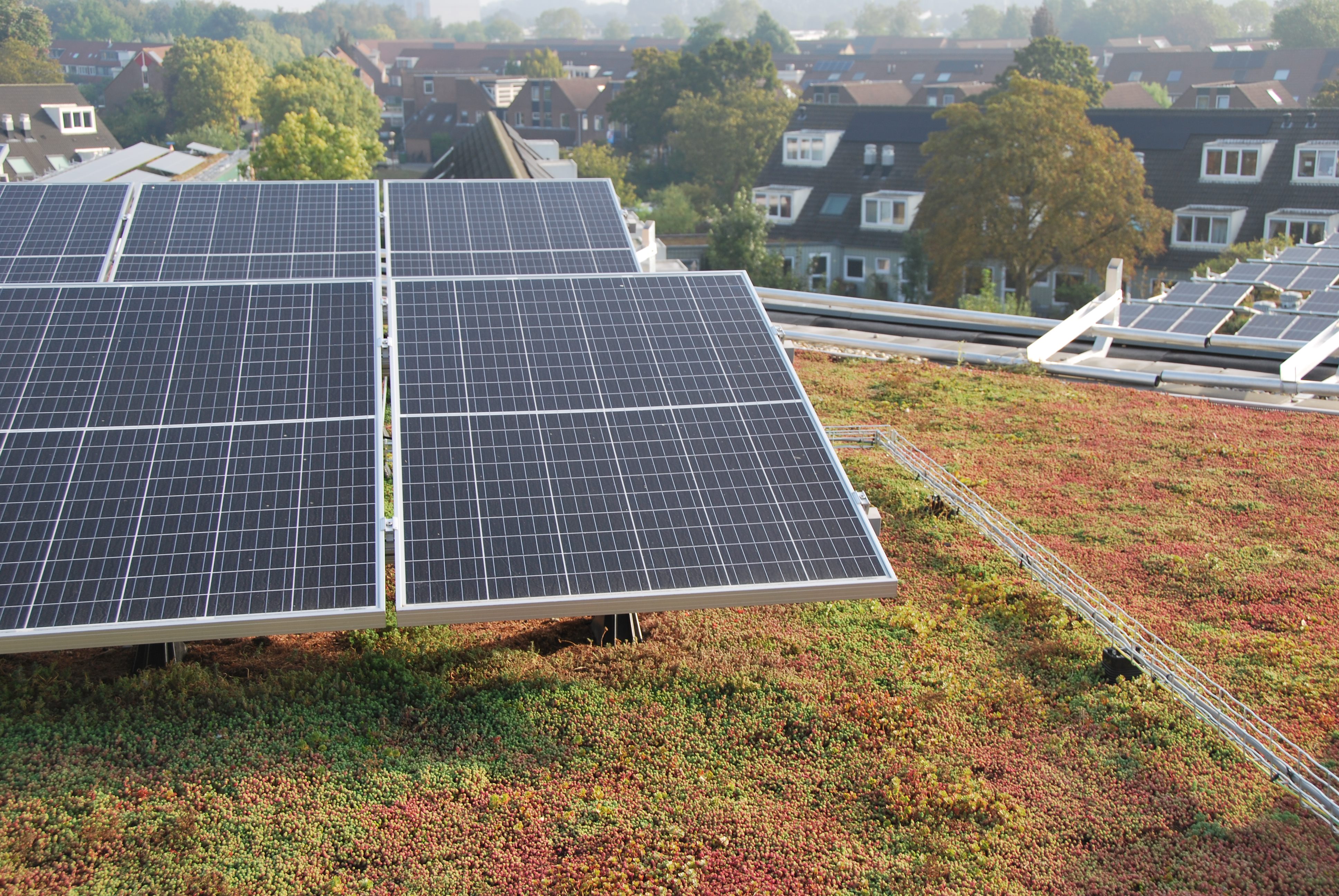 Sempergreen | De voordelen van Sedum & Solar op één dak - architectenweb.nl
