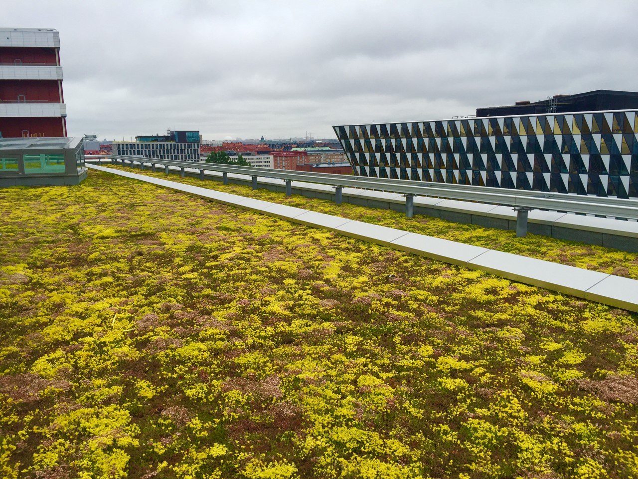 Sempergreen | Groene gebouwen in de zorg - architectenweb.nl