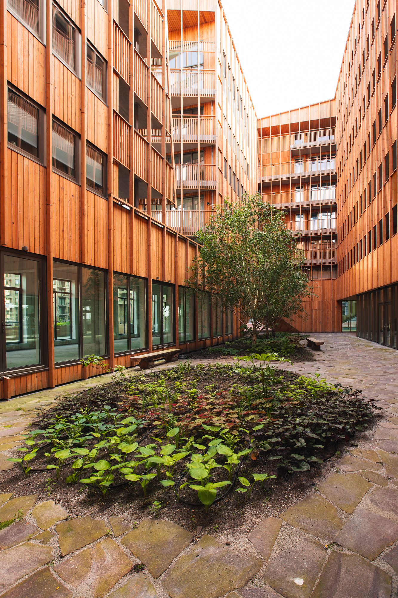 Van der Tol - Hoveniers en Terreininrichting | Jonas' IJburg - Aanleg ...