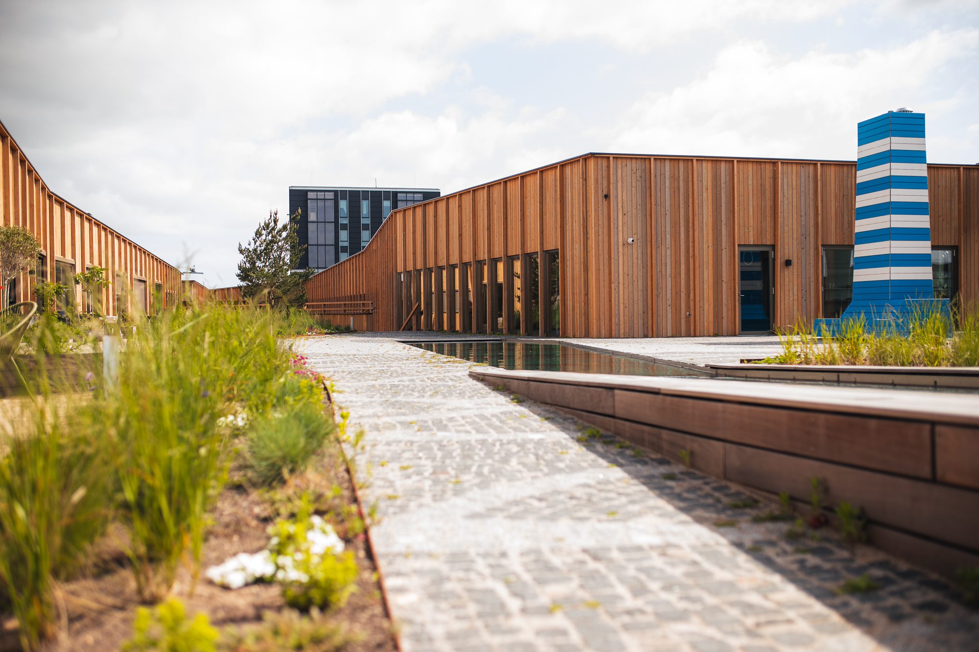 Van der Tol - Hoveniers en Terreininrichting | Jonas' IJburg - Aanleg ...