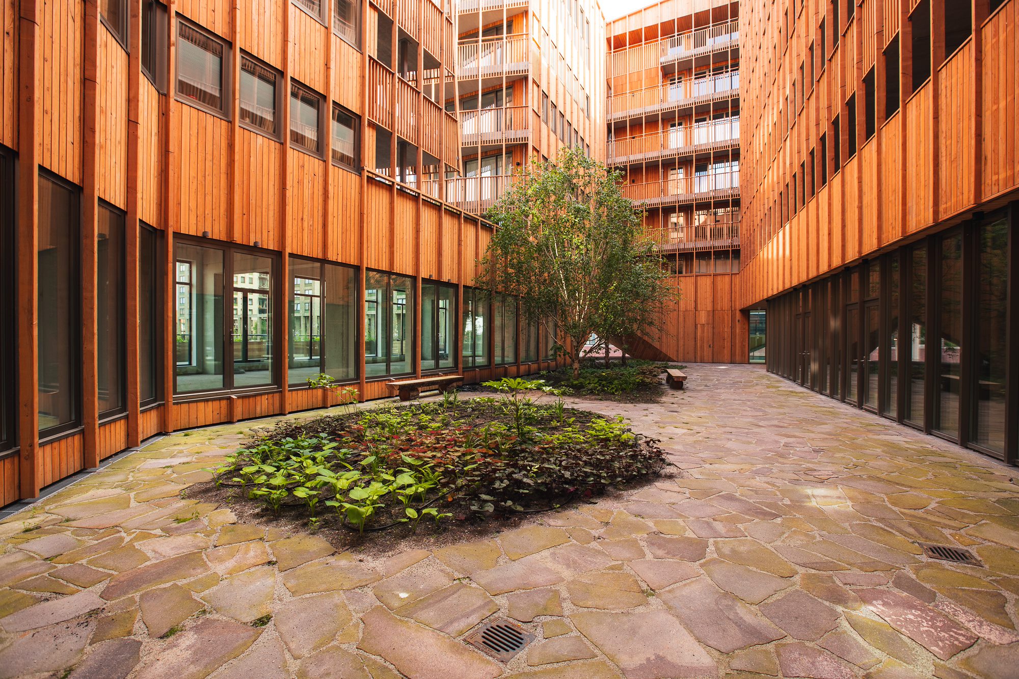 Van der Tol - Hoveniers en Terreininrichting | Jonas' IJburg - Aanleg ...