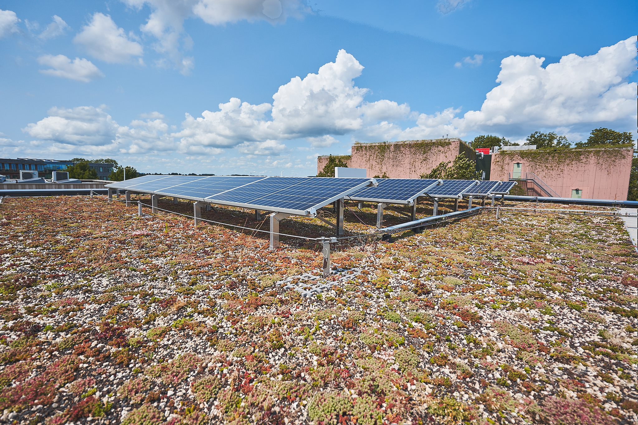 Optigrün Benelux | Drie nieuwe brandweerkazernes in Gemeente Altena - architectenweb.nl