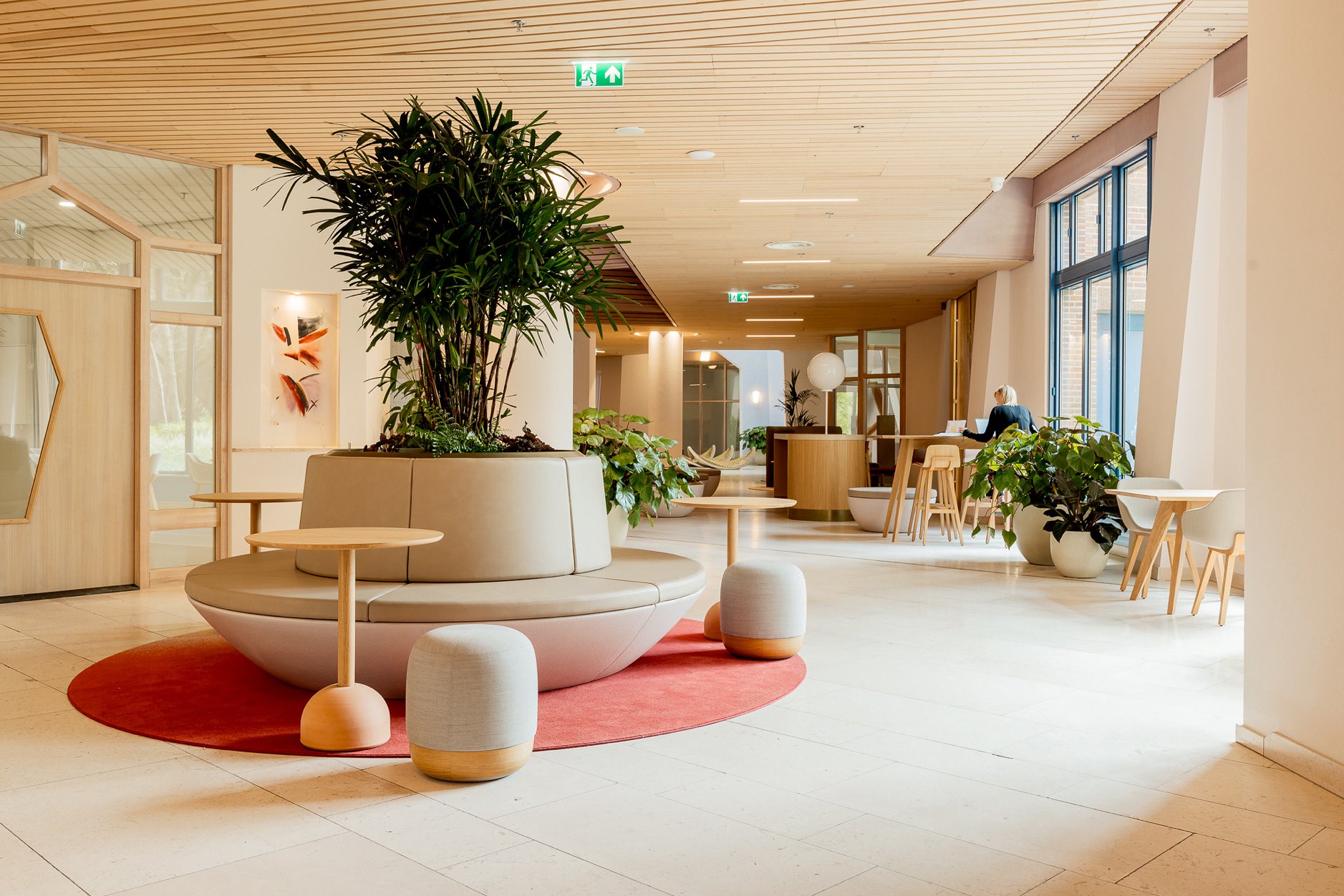 Zuiderkerkprijs en Geurt Brinkgreve Bokaal voor Jonas en het ...