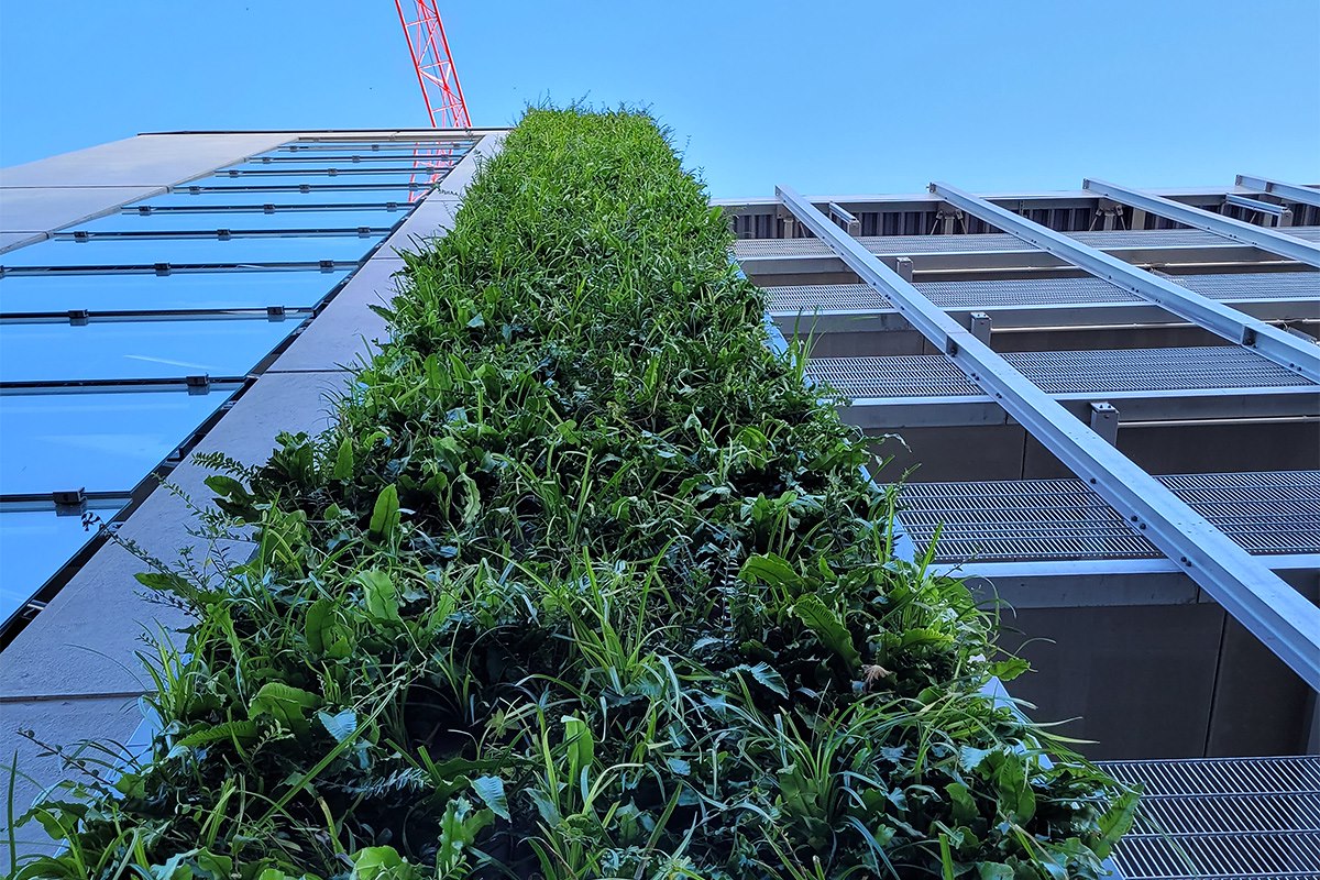 Sempergreen | Groene gevel voor parkeergarage in Allschwill ...