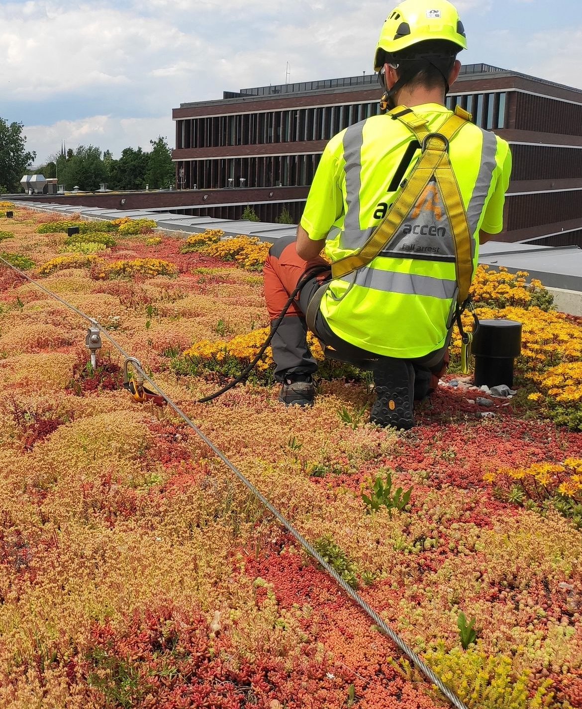 Aerial Access | ACCEN LINE I - architectenweb.nl