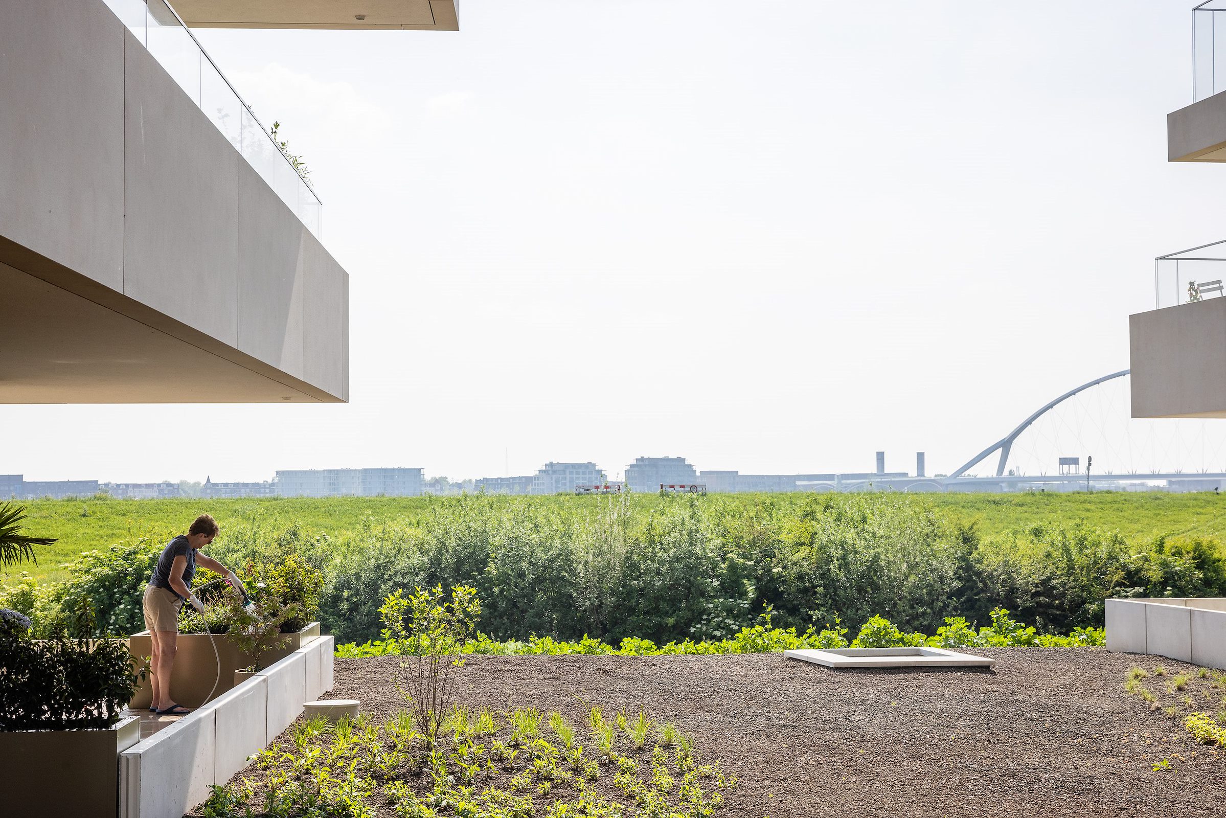 Drie woongebouwen op kunstmatige terp aan de Waal door EGM architecten - architectenweb.nl